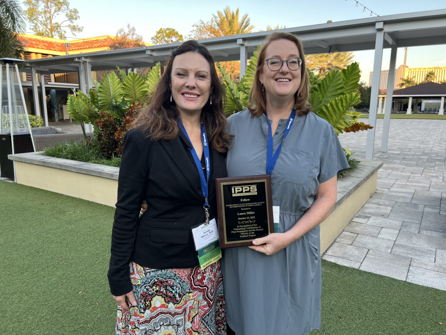 Congratulations 2025 Meadows & Fellows Award Winners